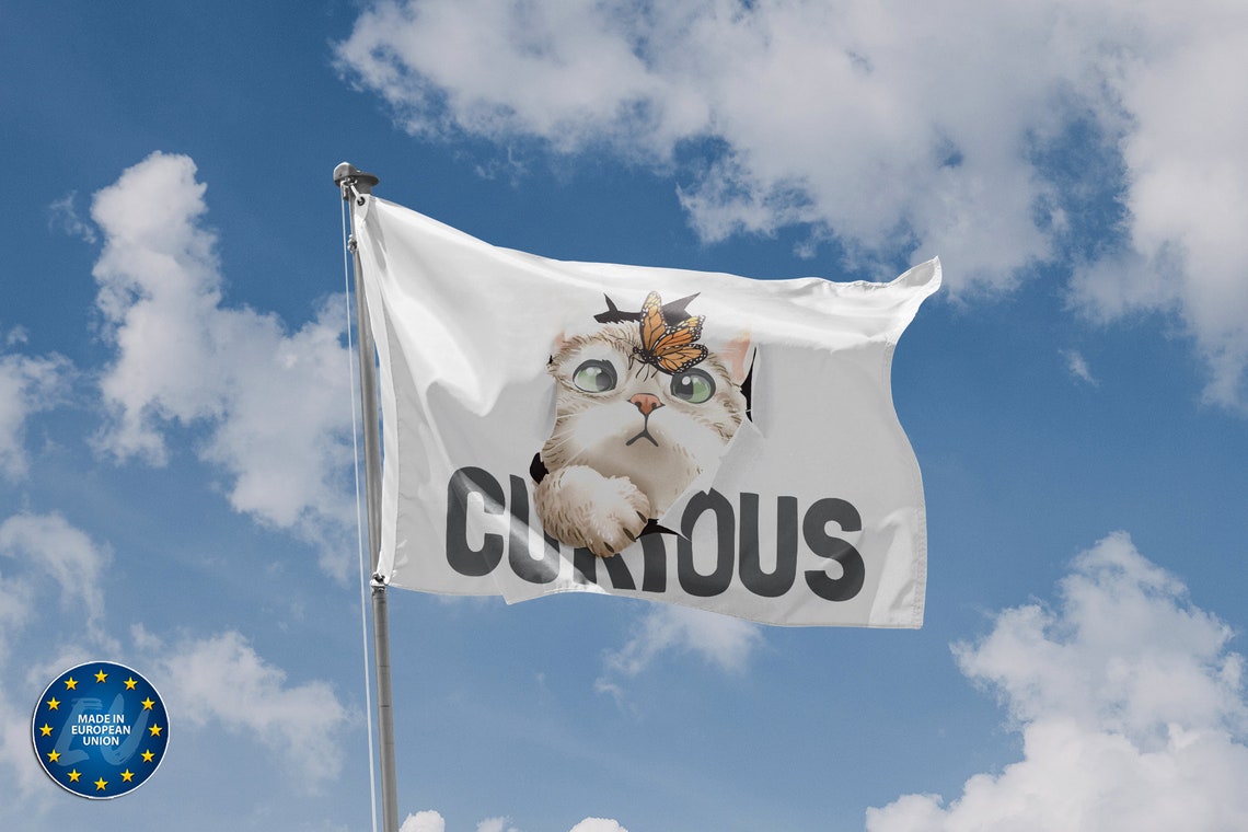 Curious Cat Flag Unique Print 3x5 Ft / 90x150 Cm Size EU - Etsy