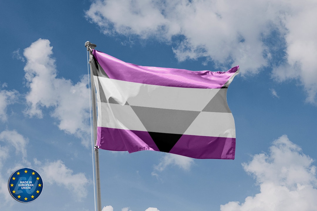 Aegosexual Pride Flag | Unique Design Print | High Quality Materials ...