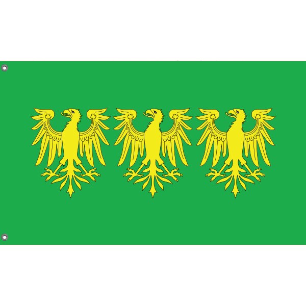 Coat of Arms of Owain Gwynedd Flag | Unique Design Print | High Quality ...