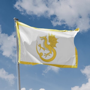 The Golden Dragon Flag | Unique Design Print | High Quality Materials ...