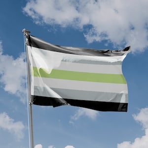 Agender Pride Flag | Unique Design Print | High Quality Materials | 5 ...