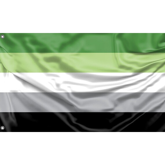 Aromantic Flag Unique Design Print High Quality Materials | Etsy