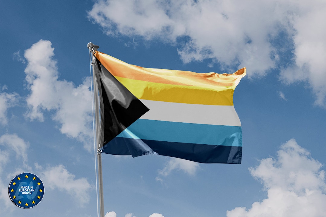 Demi Aroace Pride Flag | Unique Design Print | High Quality Materials ...