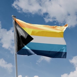 Demi Aroace Pride Flag | Unique Design Print | High Quality Materials ...