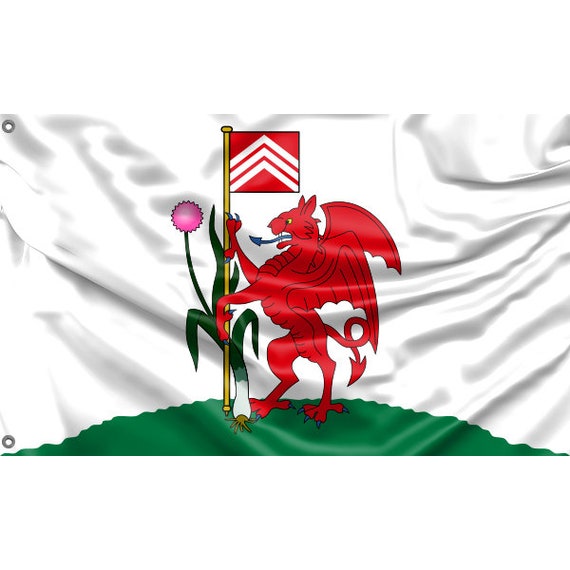 Flag of Cardiff Unique Design Print High Quality Materials - Etsy