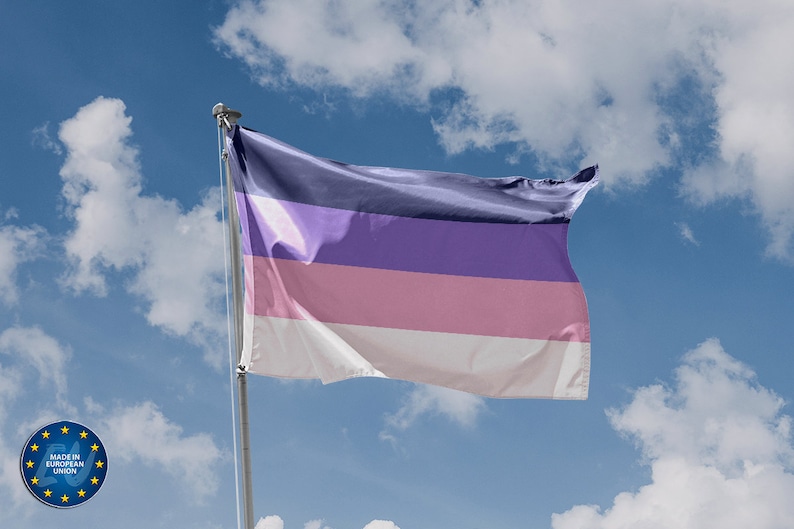 Asexual Spectrum Flag Unique Design Print High Quality - Etsy