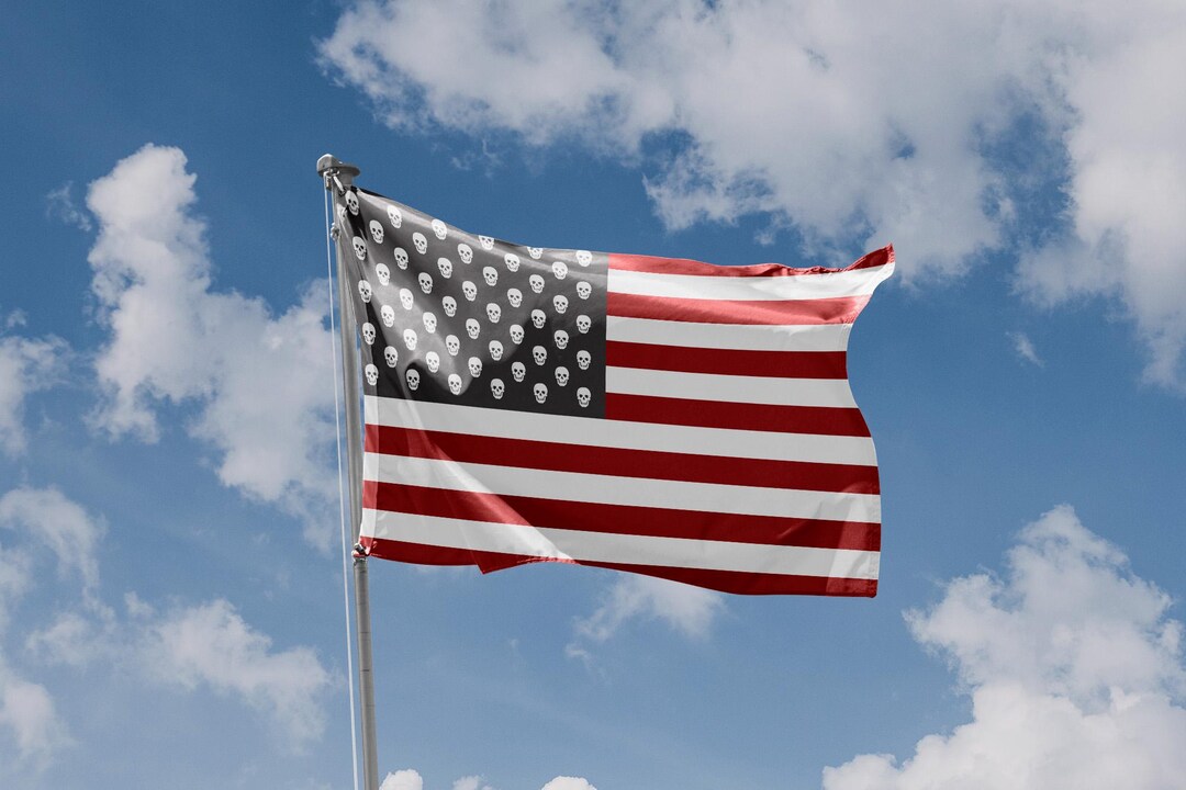 USA Pirate Flag | the Pirate Project | Unique Design Print | High ...