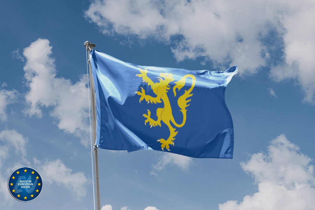 Flag of Galicia–volhynia | Unique Design Print | Hiqh Quality Materials ...