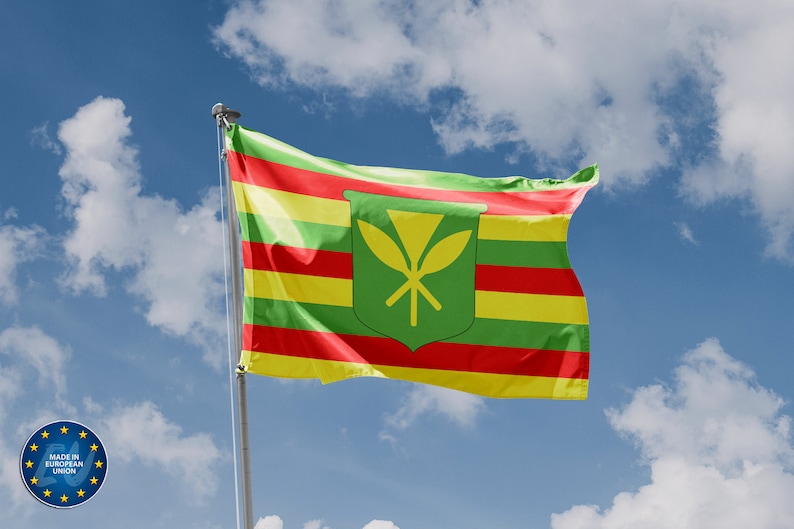Kanaka Maoli Flag, Unofficial Hawaii Flag, Unique Print, 3x5 Ft ...