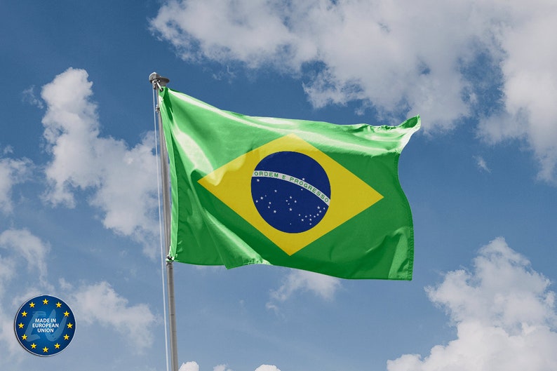 Flag of Brazil Unique Design Print High Quality Materials - Etsy