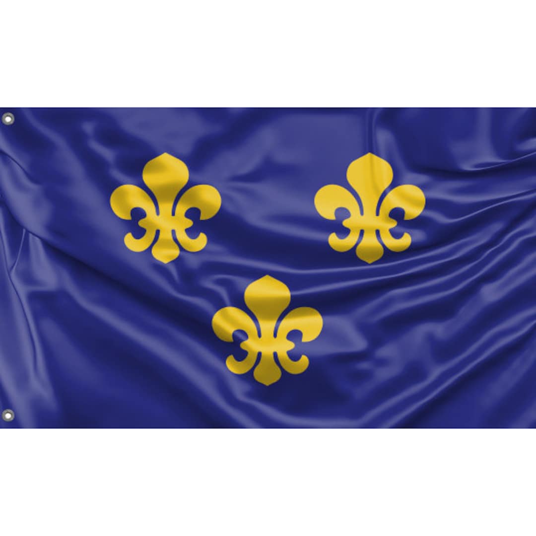 Medieval French Flag