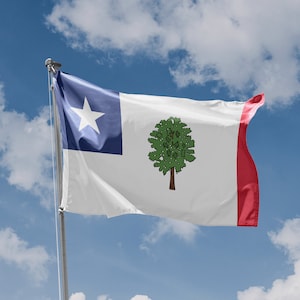 Mississippi 1861 Magnolia Flag | Unique Design Print | High Quality ...