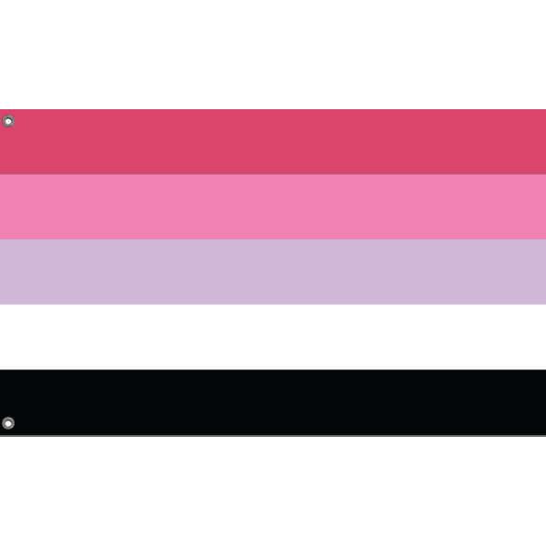 Recipsexual Pride Flag Unique Print 3x5 Ft / 90x150 Cm Size - Etsy