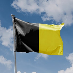 Town of Sneek Flag Unique Design Print High Quality Materials Size 3x5 ...