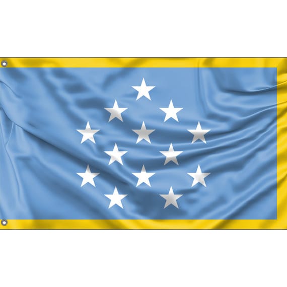 Medal of Honor Flag With Gold Fringe Unique Print 3x5 Ft / - Etsy