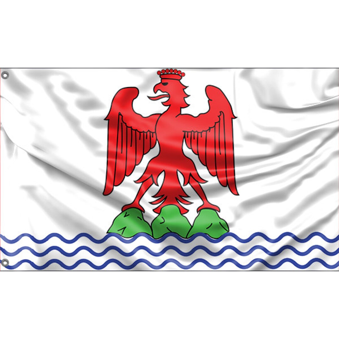 Nice France Flag Unique Design Print High Quality - Etsy