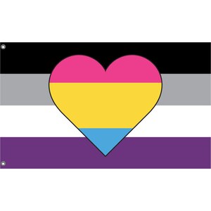 Asexual Panromantic Heart Flag Unique Print, 3x5 Ft / 90x150 Cm Size ...