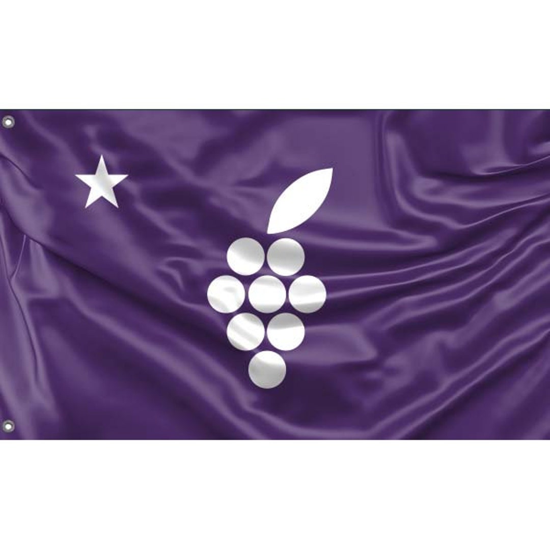 Redesigned Connecticut State Flag Unique Design Print High - Etsy