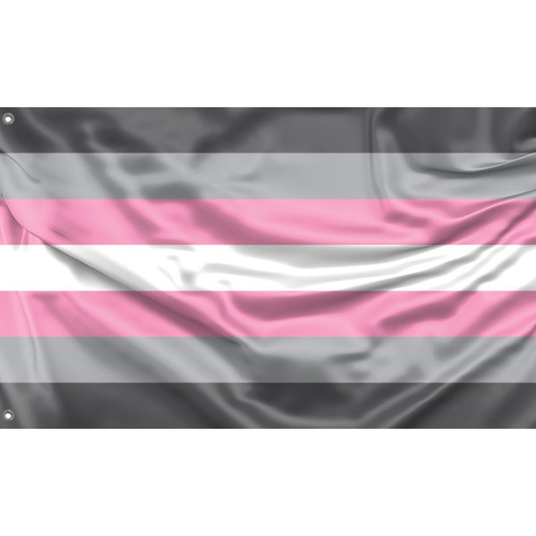 Demigirl Pride Flag Unique Design Print High Quality - Etsy