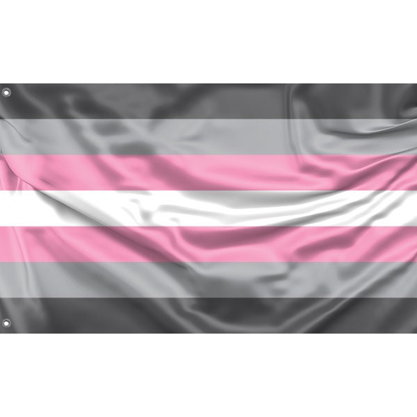 Demigirl Pride Flag Unique Design Print High Quality - Etsy