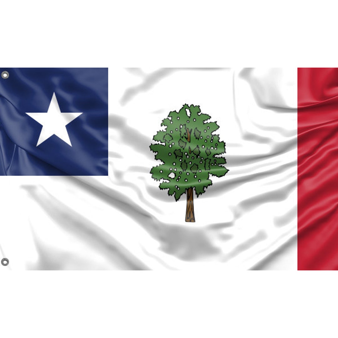 Mississippi 1861 Magnolia Flag Unique Design Print High Quality ...