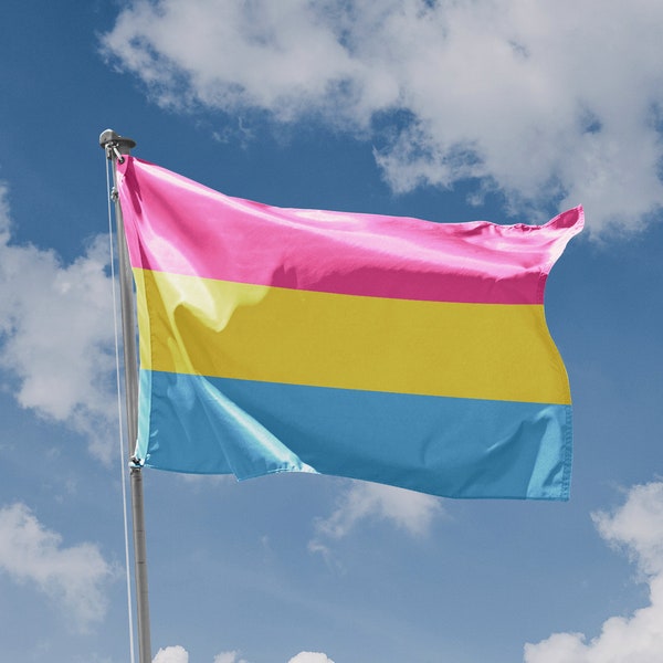 Pansexual Flag - Etsy