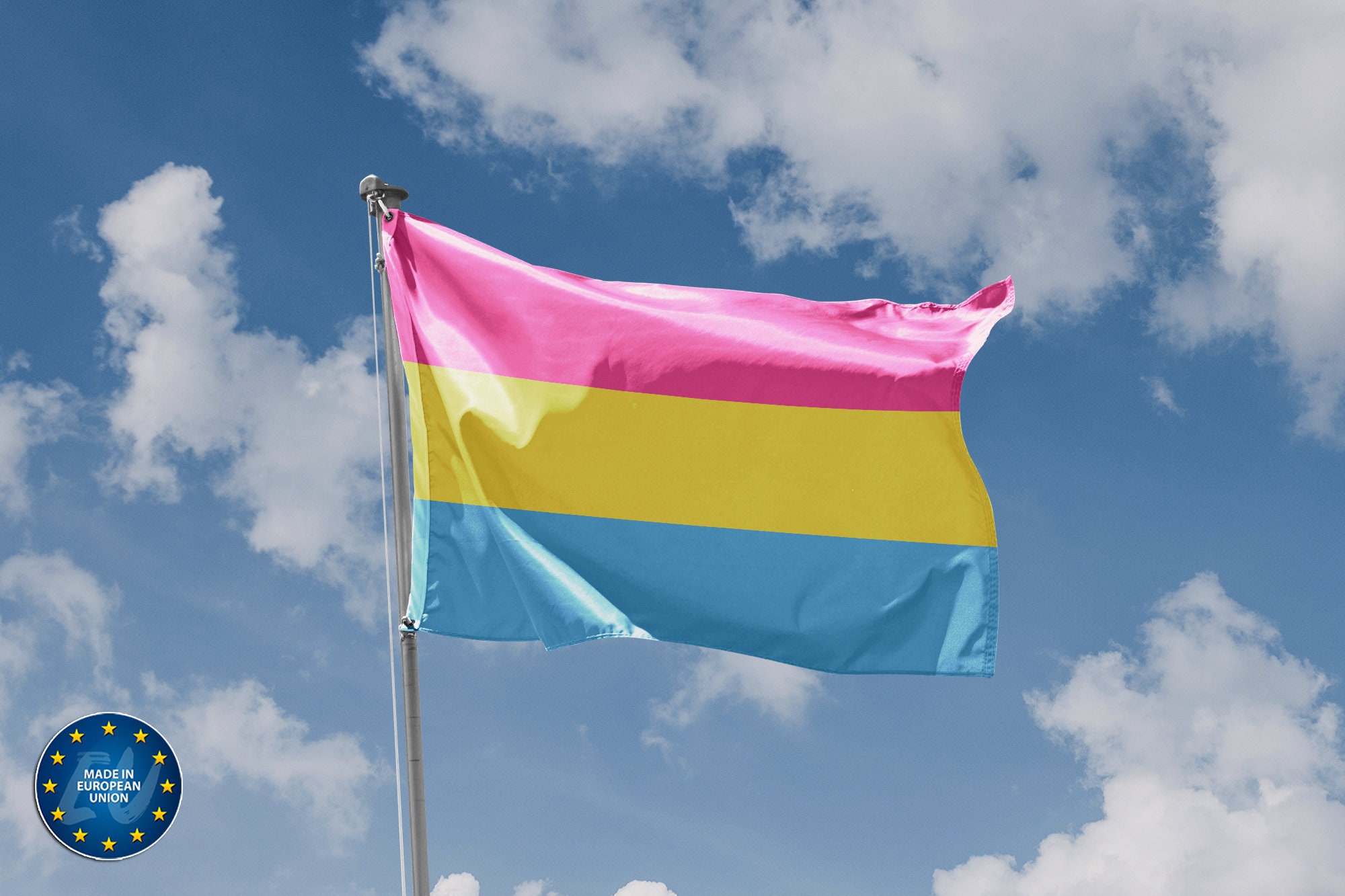 Pansexual Pride Flag Unique Design Print High Quality - Etsy