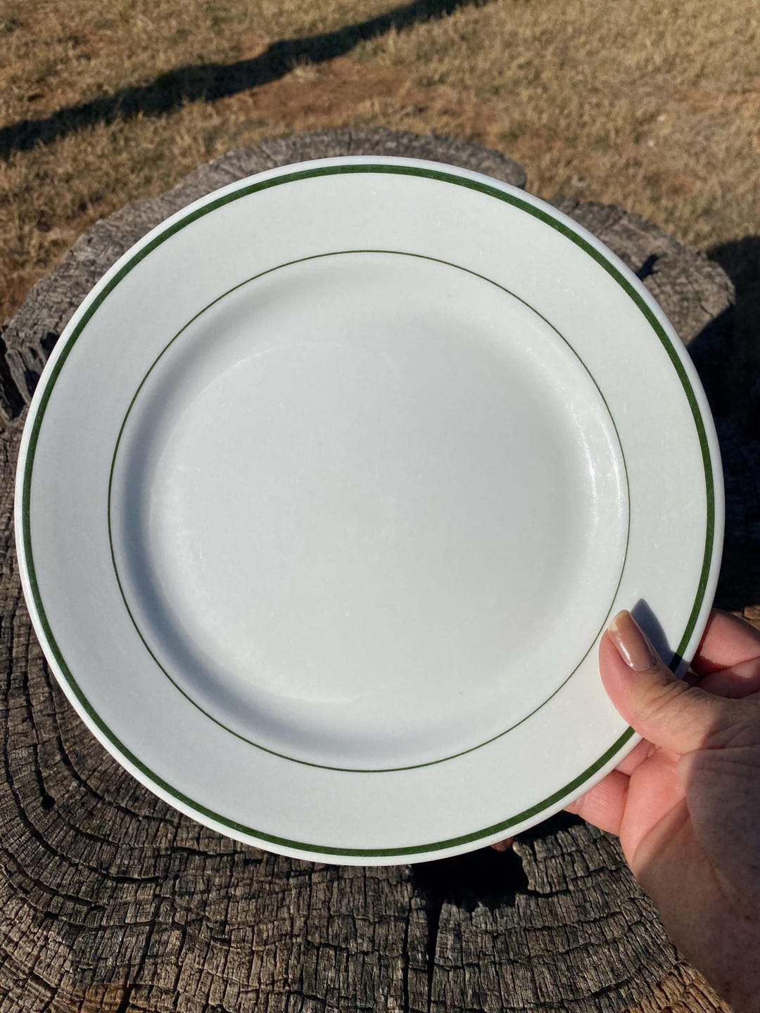 9” Dinner Plate, Shenango China Green Band, Heavy Dinnerware ...