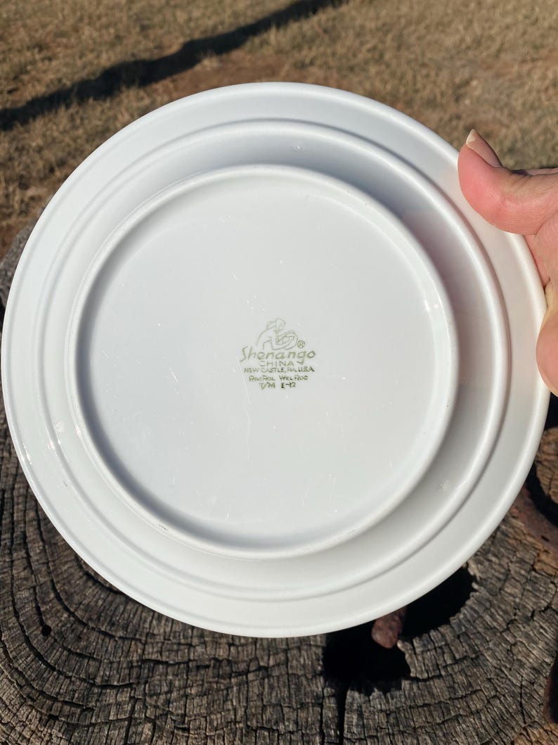 9” Dinner Plate, Shenango China Green Band, Heavy Dinnerware ...