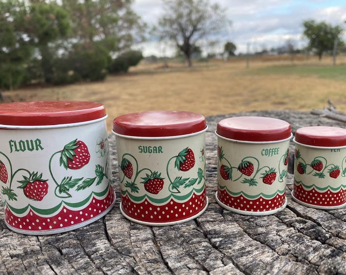 Set of 4 Vintage Wolverine Mini Canisters, Mini Metal Canister ...