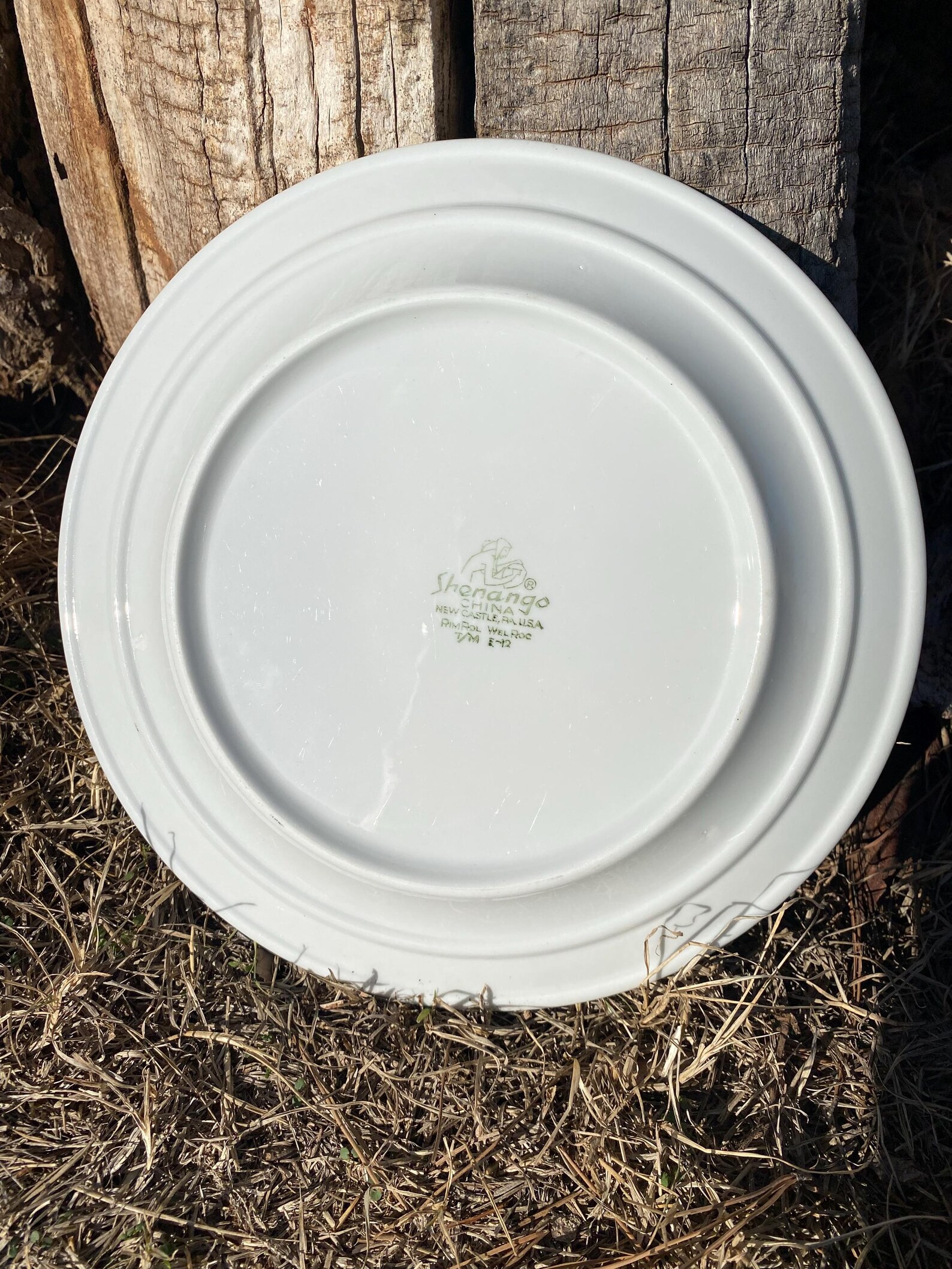 9” Dinner Plate, Shenango China Green Band, Heavy Dinnerware ...