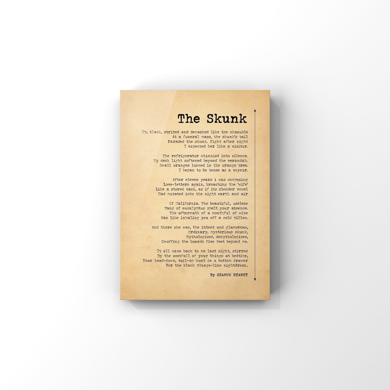 The Skunk Poem by Seamus Heaney Poster Print Relationship - Etsy Hong Kong