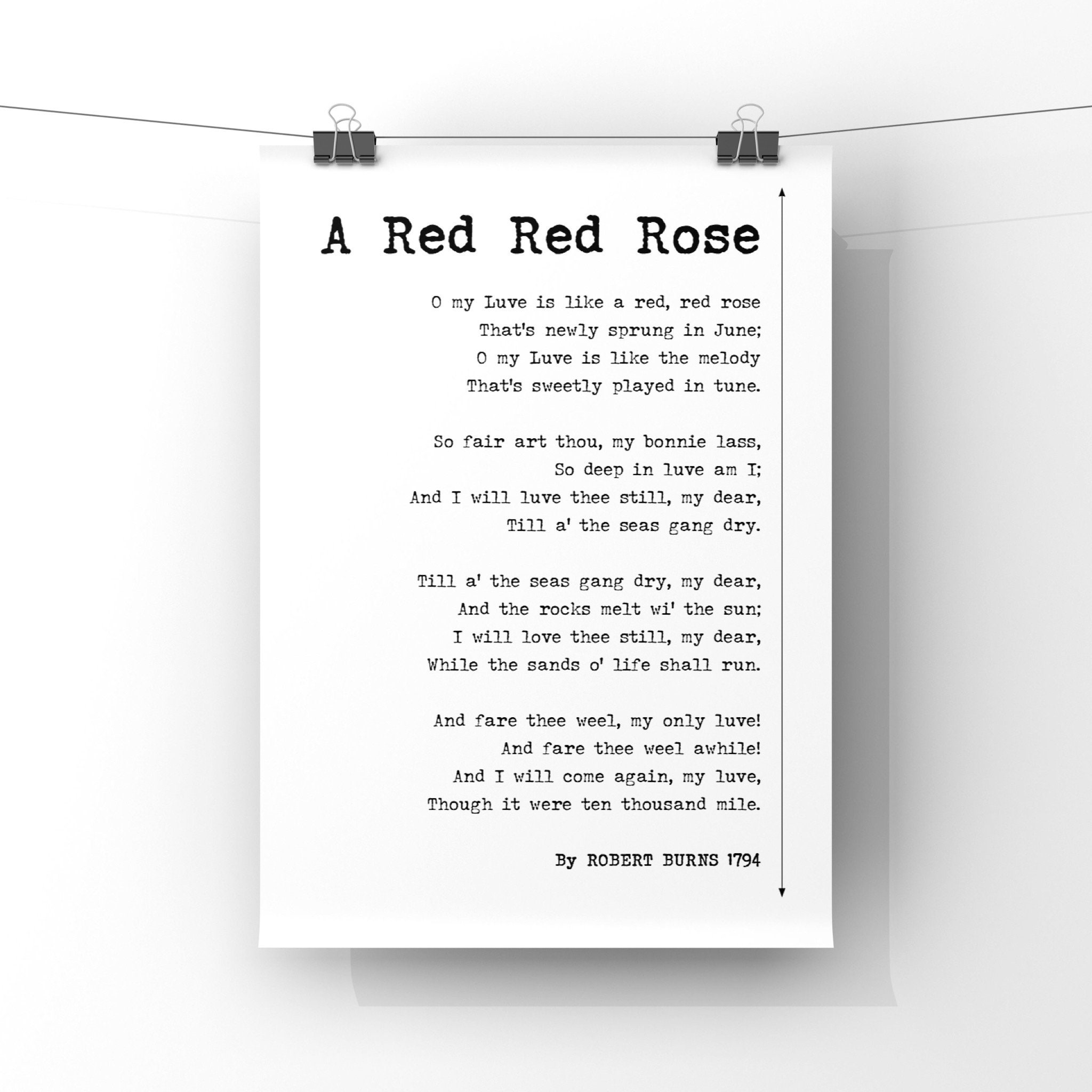 A Red Red Rose Poem by Robert Burns Poster Print Original | Etsy