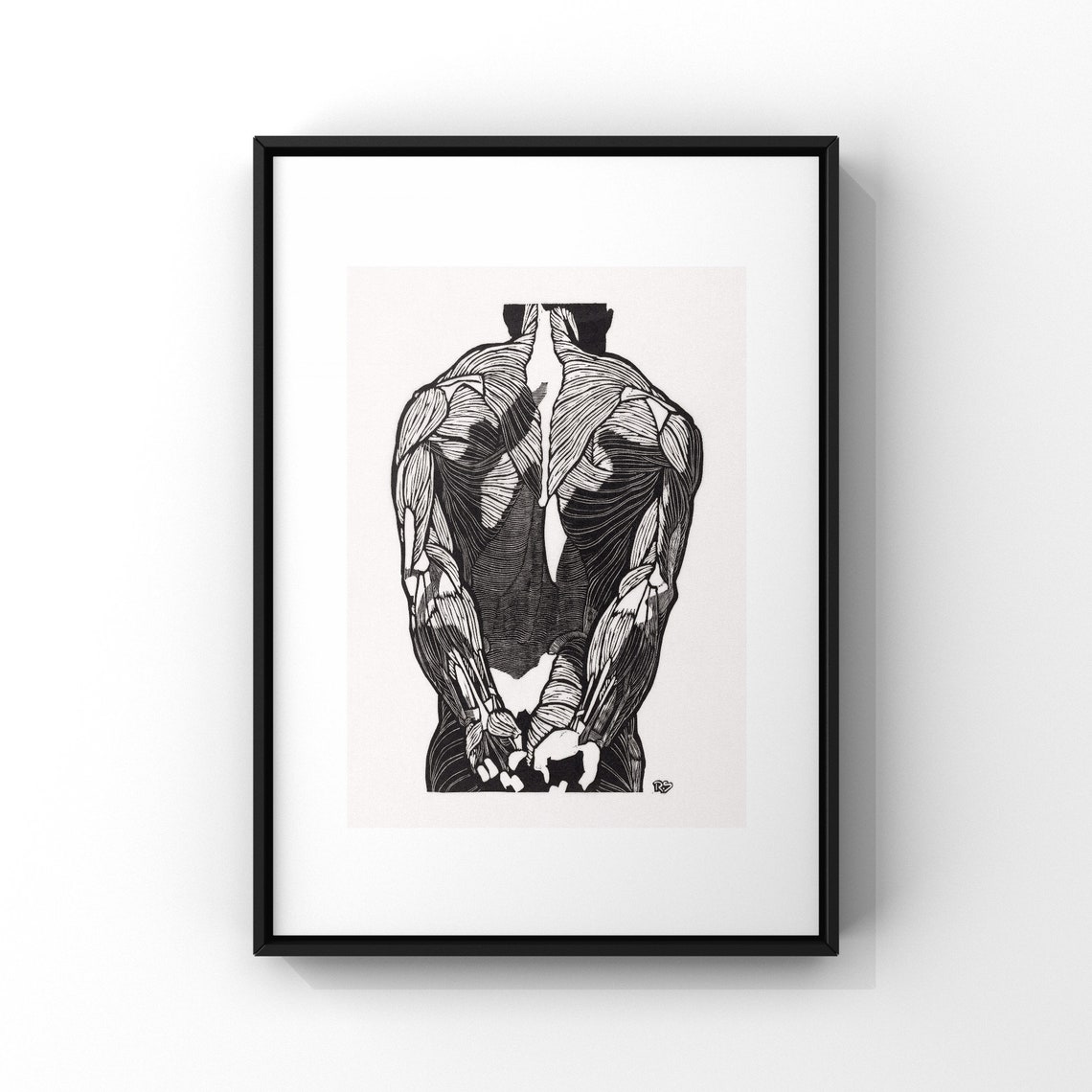 Anatomical Study of a Man's Back Muscles by Reijer Stolk - Etsy