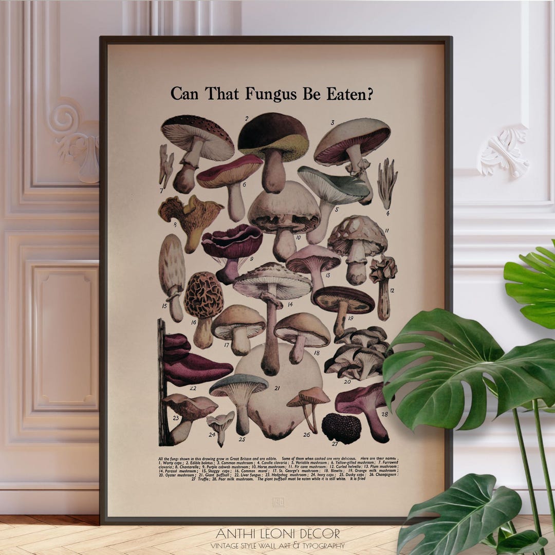 Mushroom Identification Chart Print | Can That Fungus Be Eaten Poster ...