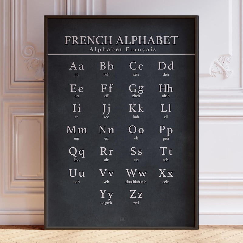 French Language Posters - Etsy