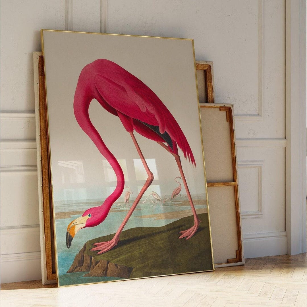 Pink Flamingo Print by James John Audubon | Bold Vibrant Colourful Bird ...