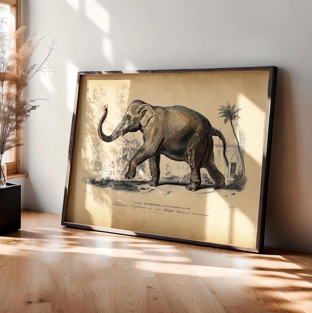 Vintage Elephant Print, Wild Animal Wall Art, Indian Wall Decor ...