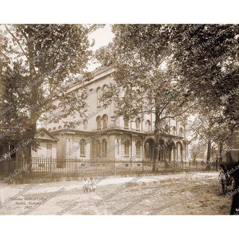 Mobile, AL Alabama 1907 Mobile County Antique Historic Vintage Photo ...