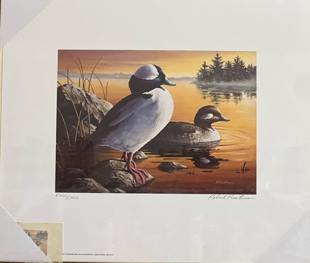 Robert Hautman 1988 MN Duck Stamp Print With Stamp - Etsy