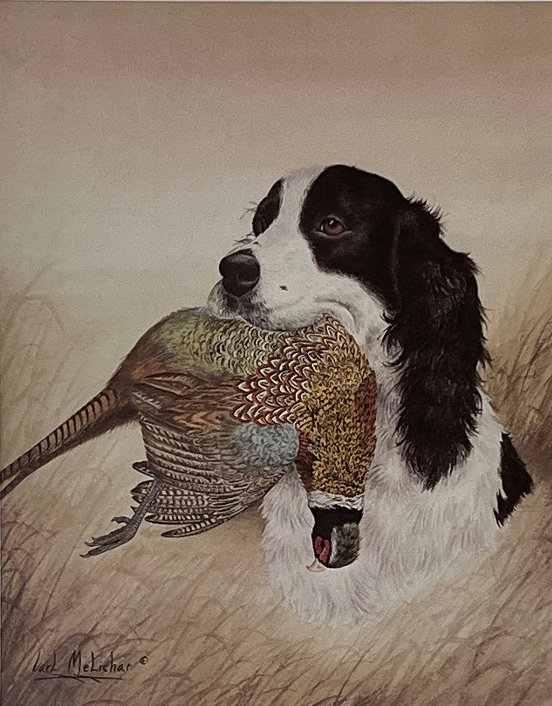 Carl Melichar Springer Spaniel With Pheasant S/N Art Print - Etsy
