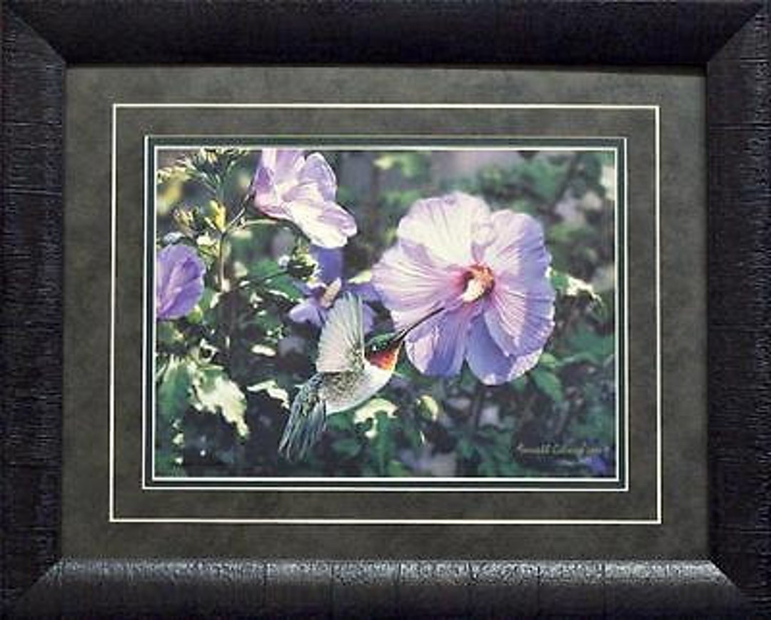 Russell Cobane Hummin Along Hummingbird Print-framed- 21 X 17 - Etsy