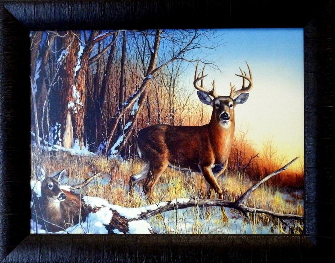 Jim Hansel ''resting Place'' Deer Buck Studio Canvas Art Print-framed ...