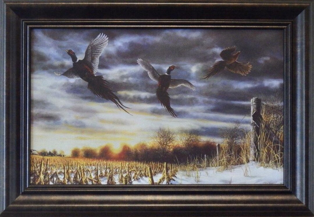 Jim Hansel "spooked" Pheasant Framed Decorator Print 14.5" X 10.25" - Etsy