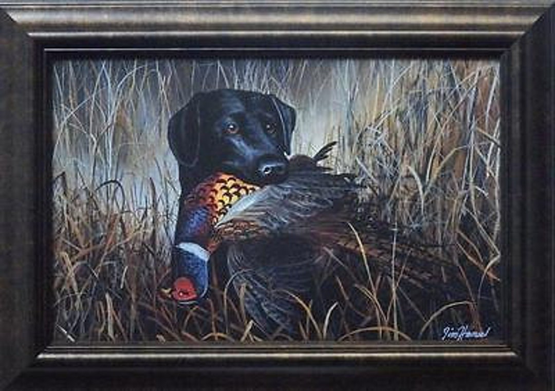 Jim Hansel Bird Season Lab Pheasant Decorator Art Print-framed 14.5" X ...