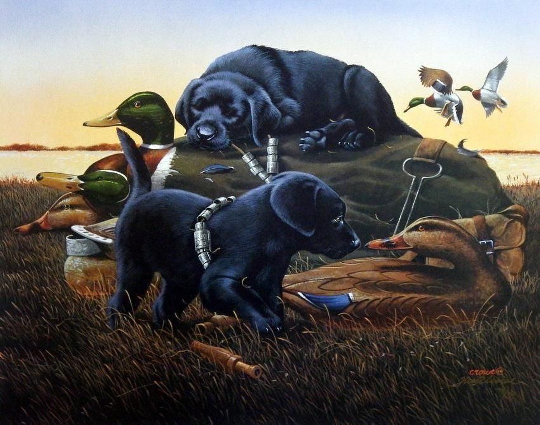 Phillip Crowe "dog Days" Black Lab Puppies Mallards Art Print 20 X 16 ...