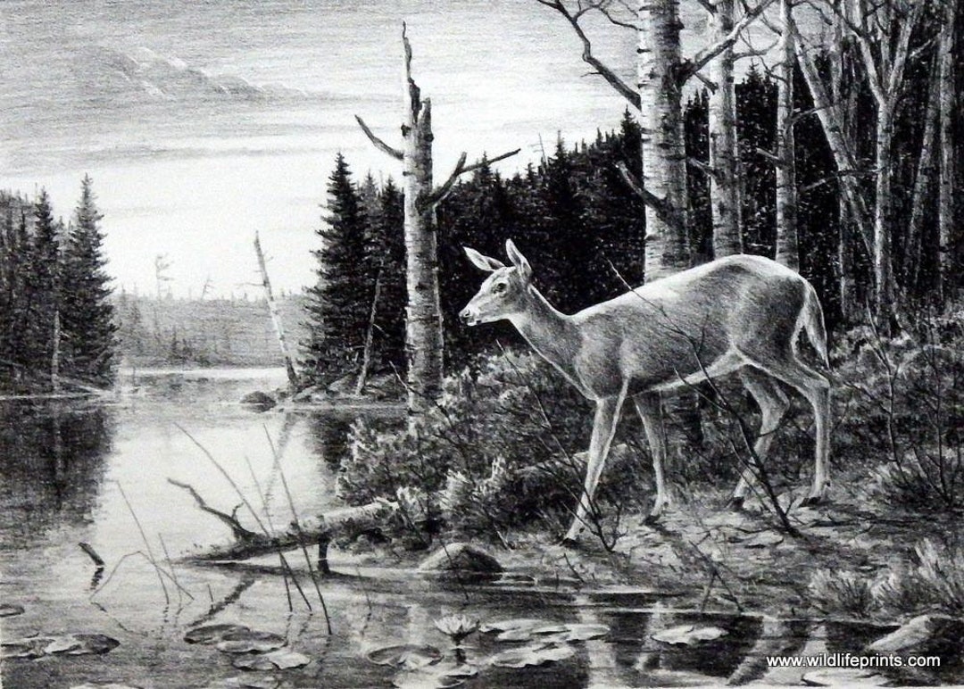 Les Kouba Down to the Drink - 11.75"x8.75- Signed and Numbered - Etsy