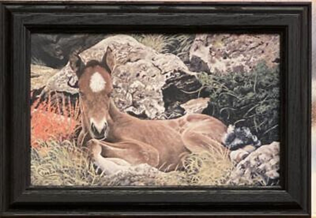 Ray Whitson Horse Art Print Born Free-framed 14.5 X 10 - Etsy