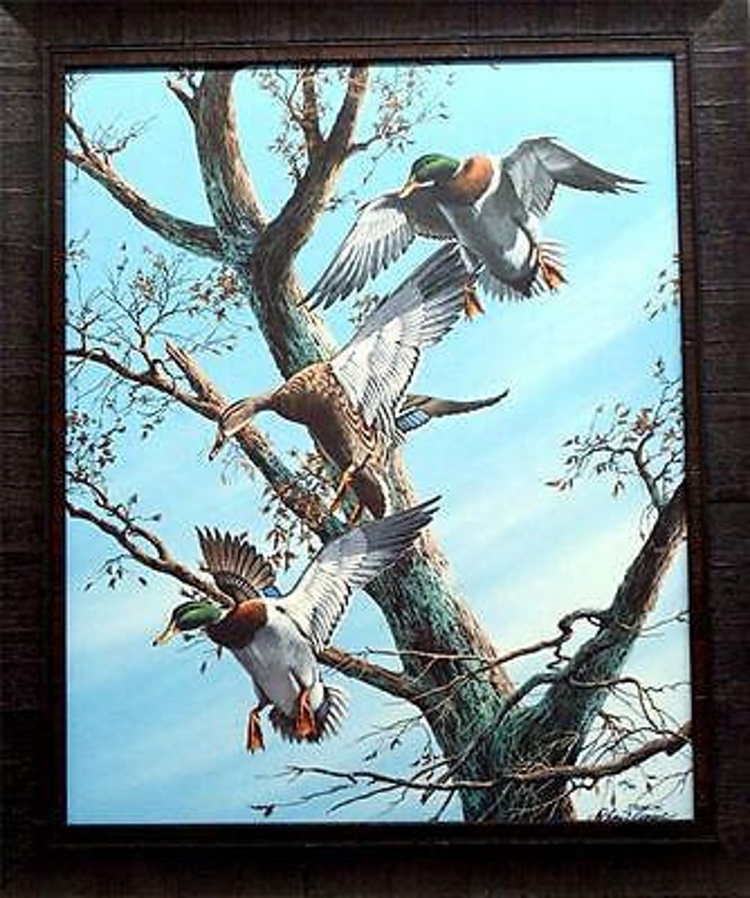 Phillip Crowe Greenwood Traffic Jam Duck Print-framed 24.5 X - Etsy