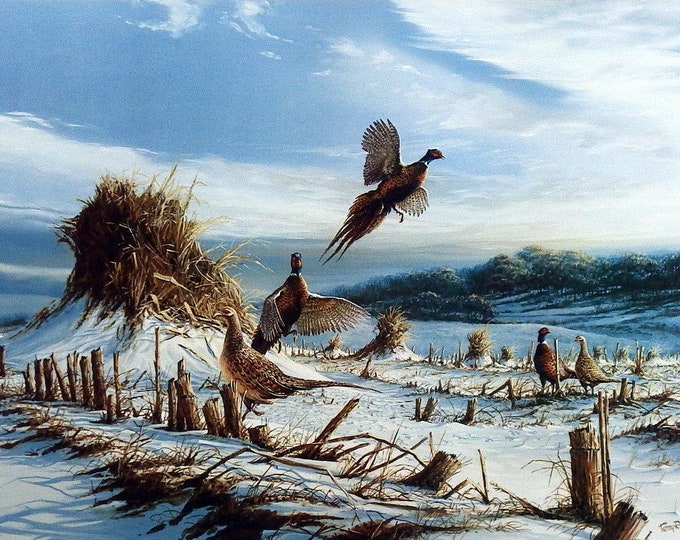 Terry Redlin Startled -pheasant Farm Art Print 22"x15.5" Signed ...